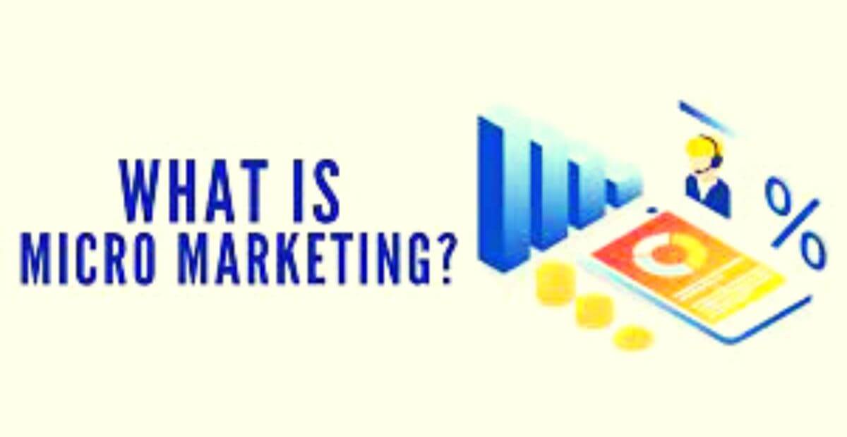 What is Micro Marketing? Pros & Cons, Examples | Business Management ...